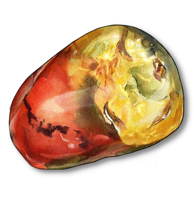 Amber | Amber Meaning | Rocks with Sass