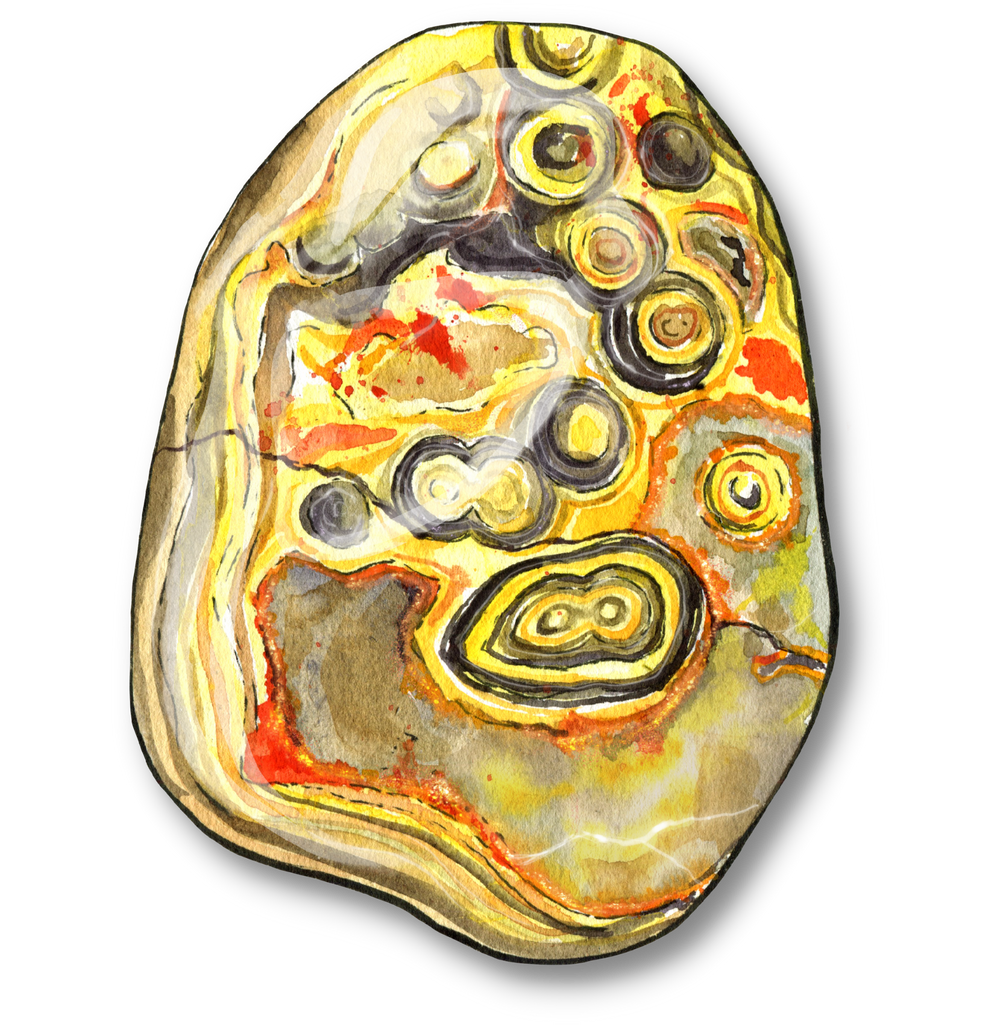 Bumblebee Jasper | Bumblebee Jasper Meaning | Rocks with Sass