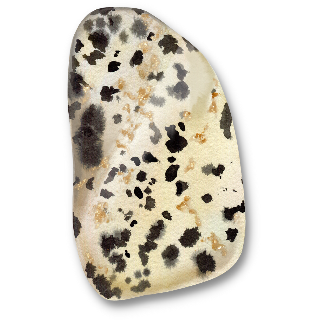 Dalmatian Jasper | Dalmatian Jasper Meaning | Rocks with Sass