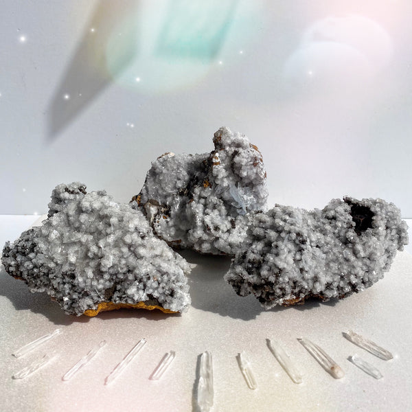 New Arrivals Page 2 - Rocks with Sass