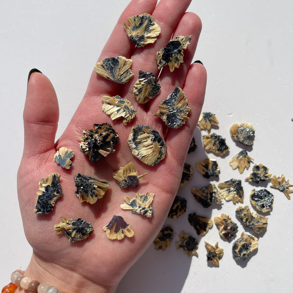 Raw Rutile and Hematite Specimens - Rocks with Sass