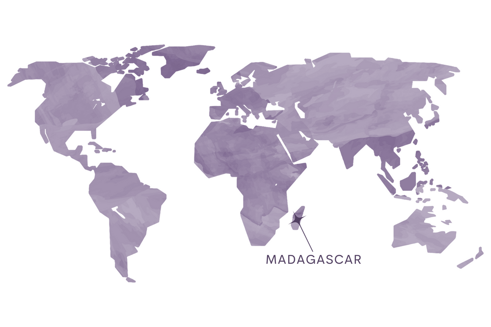 Indigo Gabbro | Indigo Gabbro Meaning | Rocks with Sass