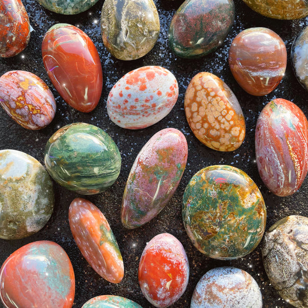 Ocean Jasper Palms - Rocks with Sass