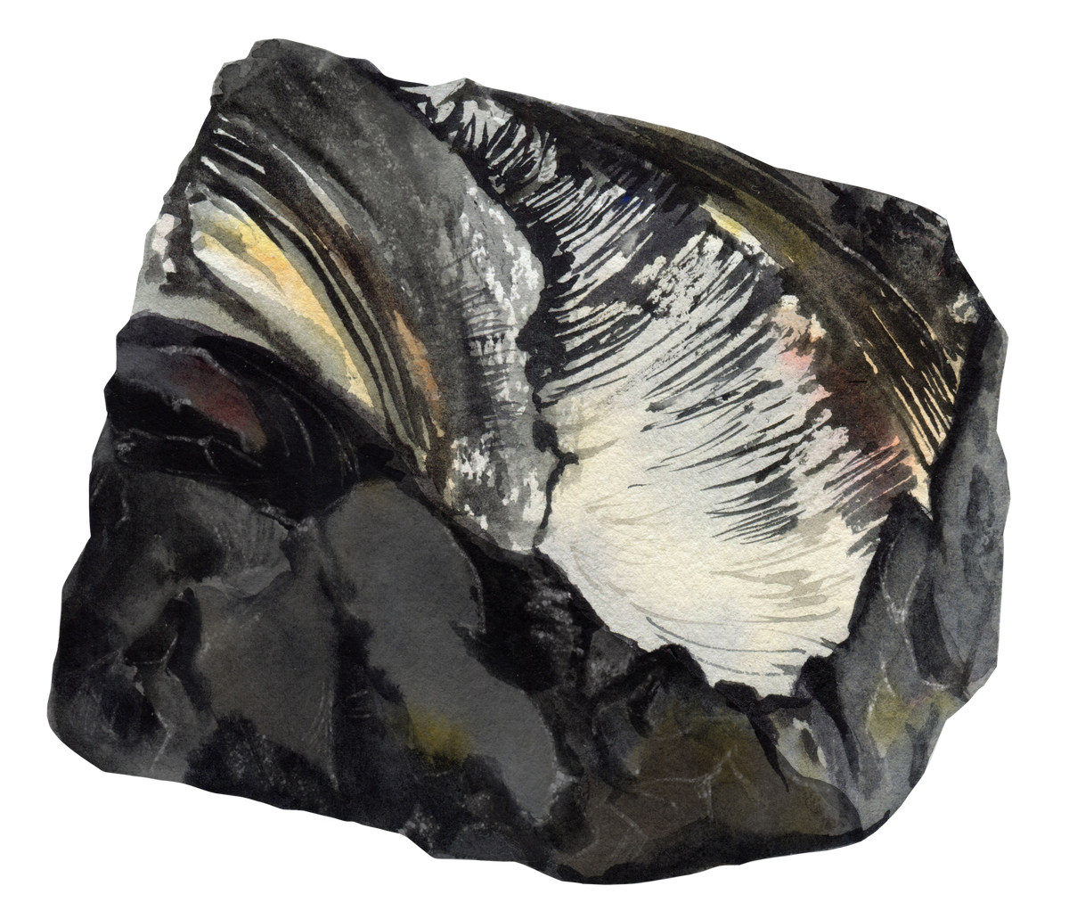Shungite - Rocks with Sass