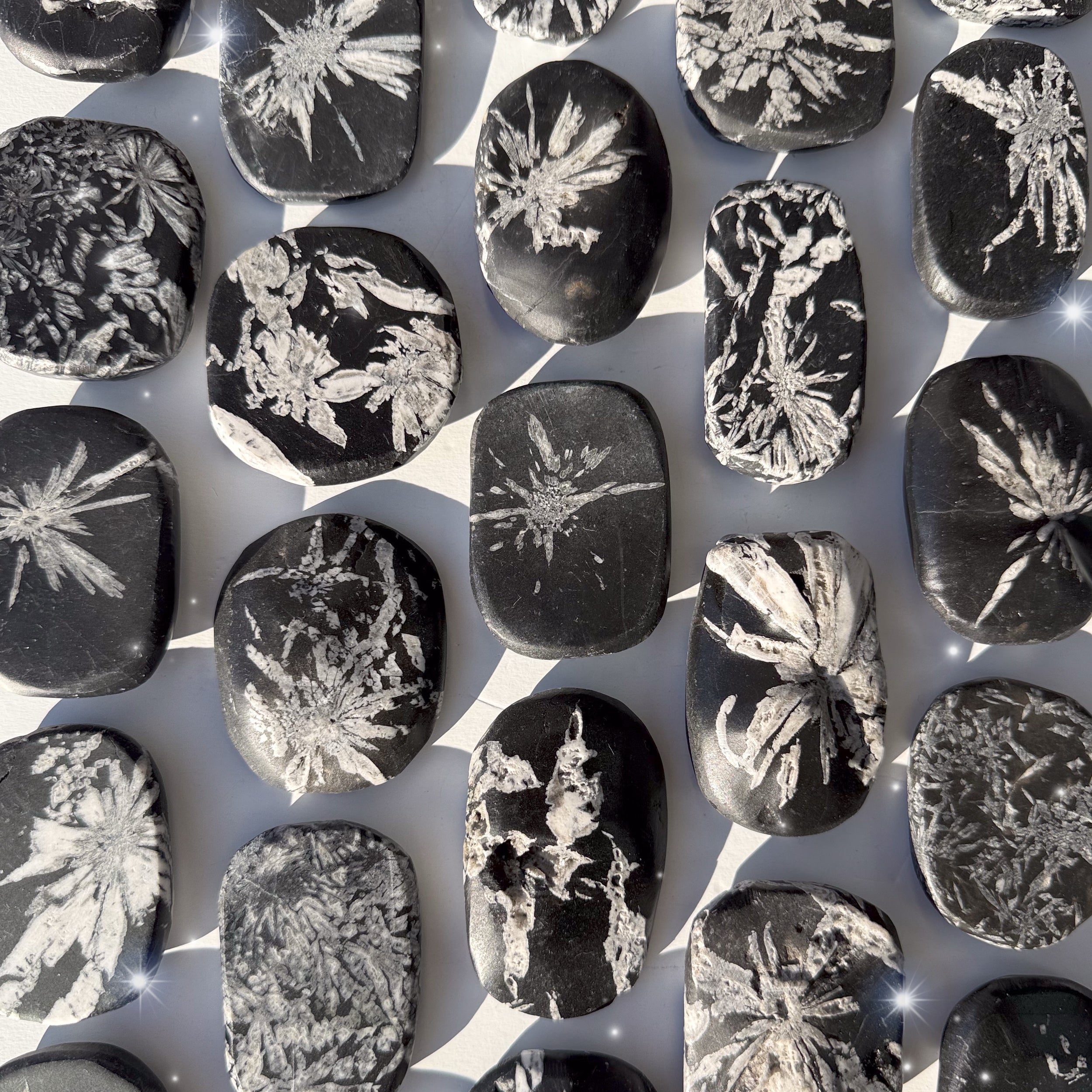 Crystal Shop Columbus Ohio | Rocks With Sass | Stone Store