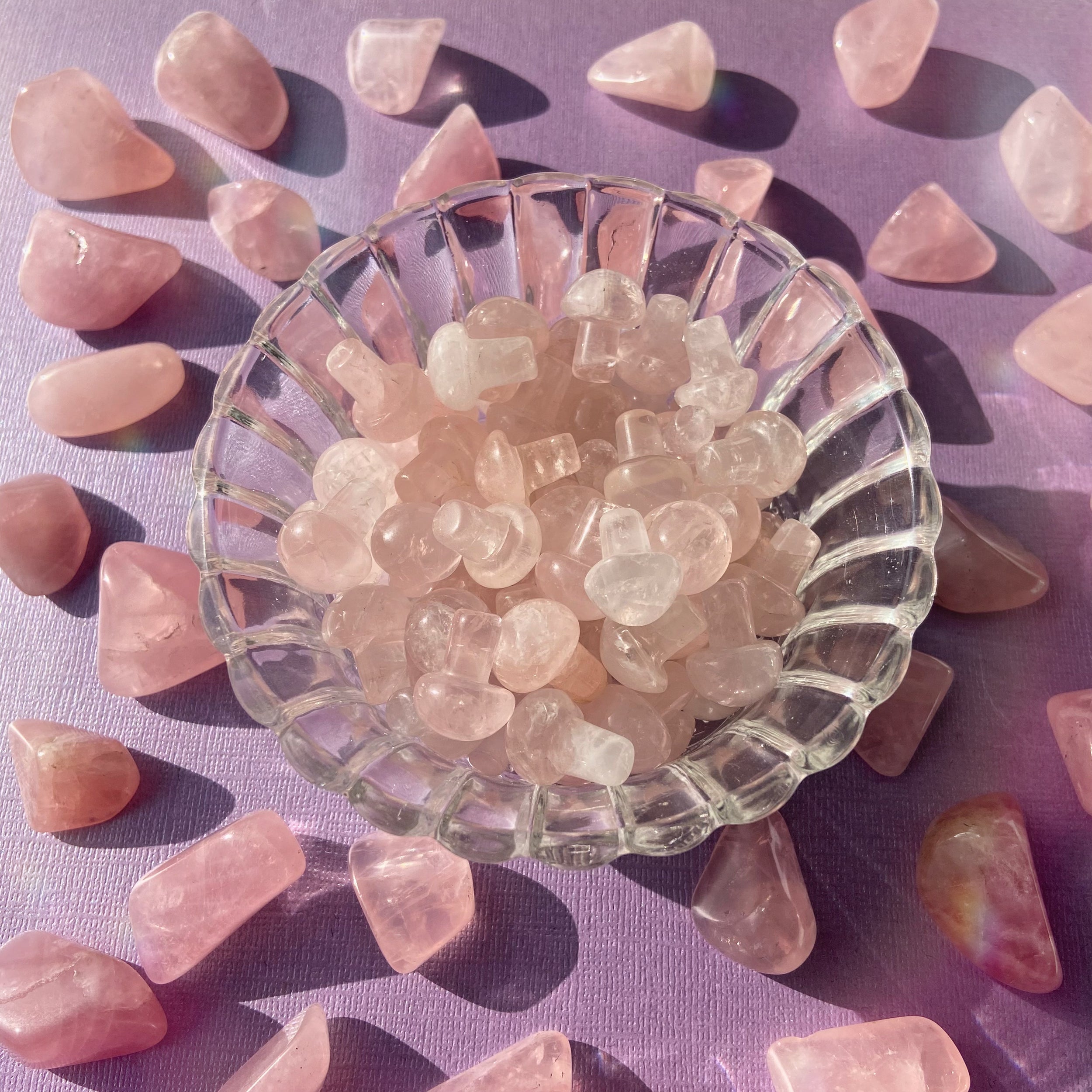 Crystal Shop Columbus Ohio | Rocks With Sass | Stone Store