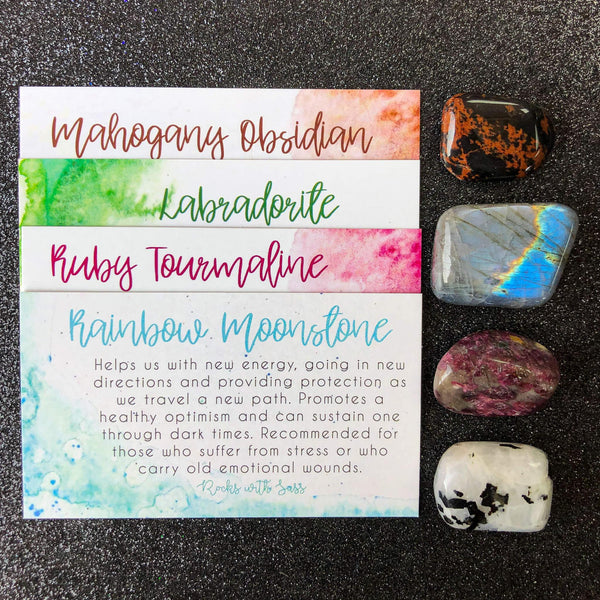 Scorpio Zodiac Crystal Set - Rocks with Sass